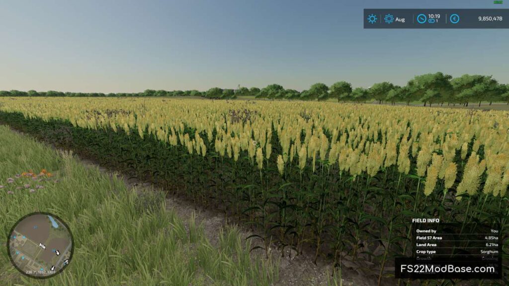 Additional Field Info - Farming Simulator 22 Mod | LS22 Mod | FS22 Mod